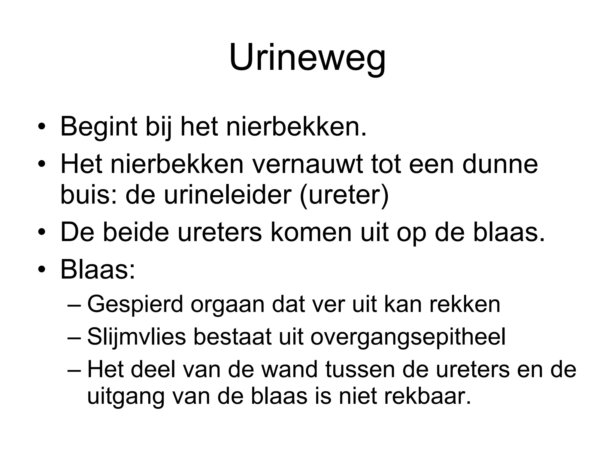 Nieren En Urinewegen Aangepast N3 | PPT