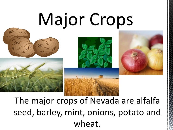 Nifty Fifty State Project 2012 Nevada-South Carolina