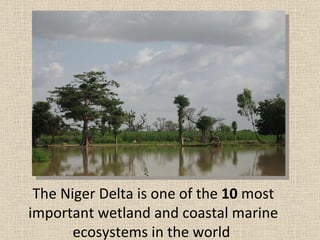 Niger Delta Project | PPT