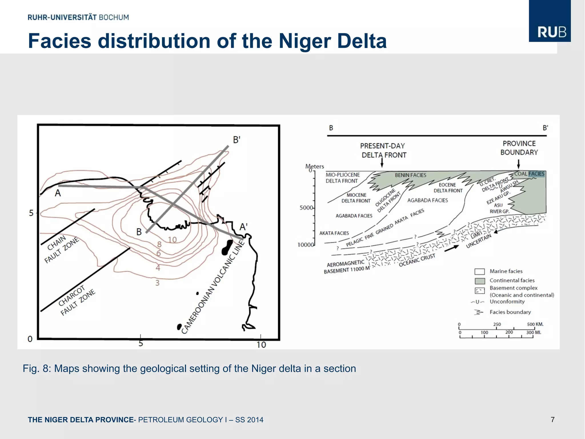 The Niger Delta Province - Petroleum System | PDF