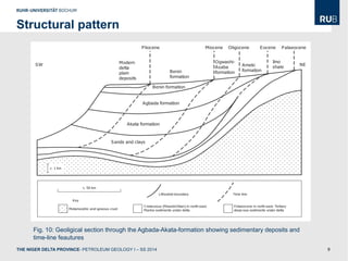 The Niger Delta Province - Petroleum System | PDF