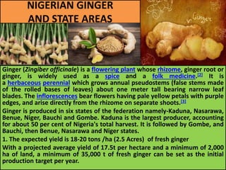 NIGERIAN ORGANIC GINGER PRODUCTION CREATED BY AMV.pdf | Agriculture ...