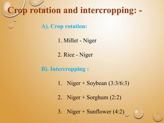 Niger Production Technology with all package of practices | PDF