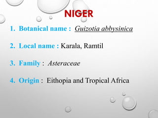 Niger Production Technology with all package of practices | PDF