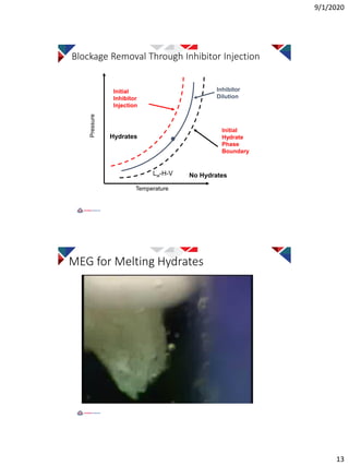 Nightmare of Hydrate Blockages: How to Remove them Safely and ...
