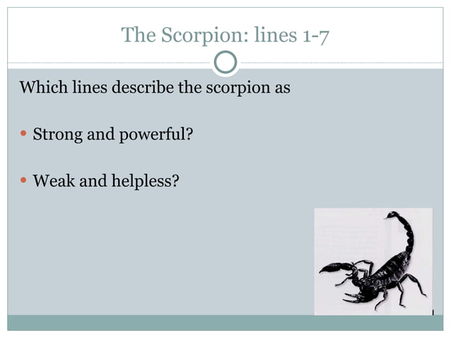 Night of the scorpion | PPT