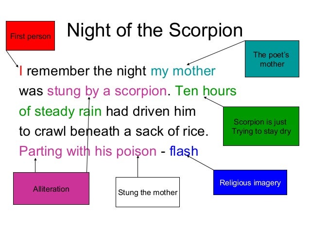 Night of the_scorpionppoint
