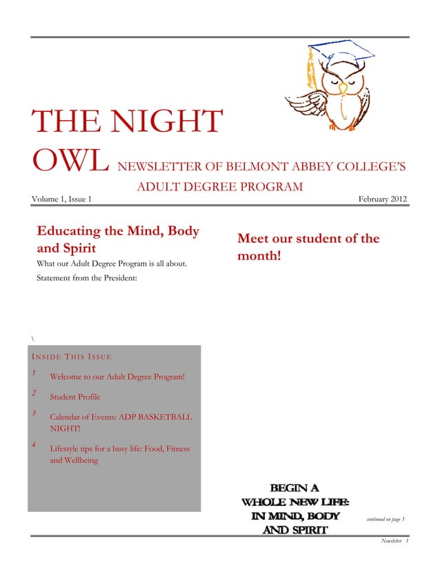 Night owl | PDF