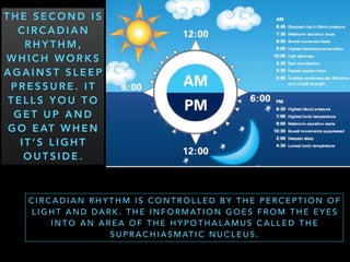 Sleepless Nights: Managing Sleep Pressure and Circadian Rhythms | PPT