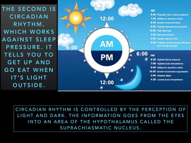 Sleepless Nights: Managing Sleep Pressure and Circadian Rhythms | PPT