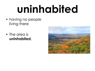 Nights of the pufflings | PPSX