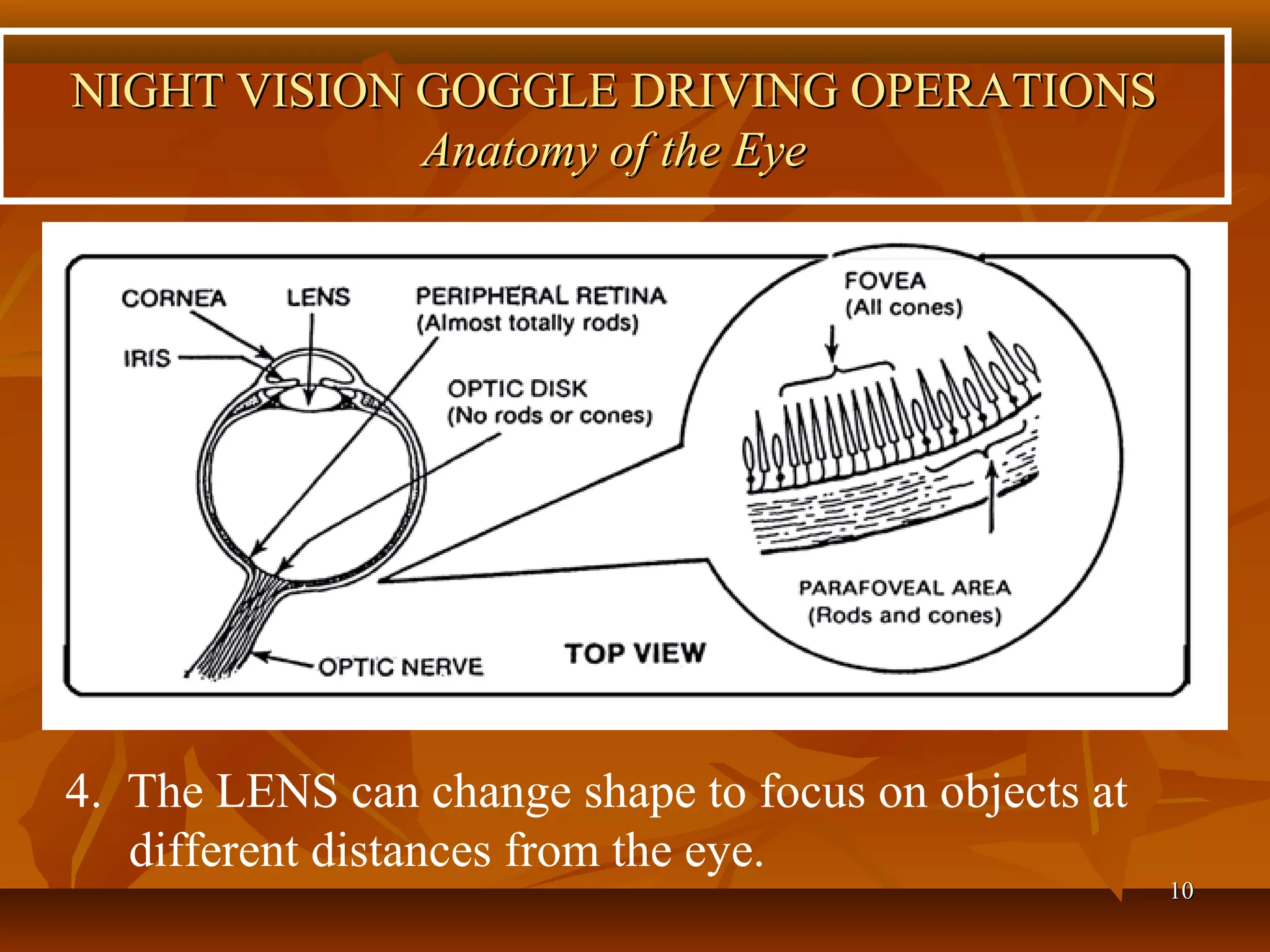 Night vision goggles the basics | PPT