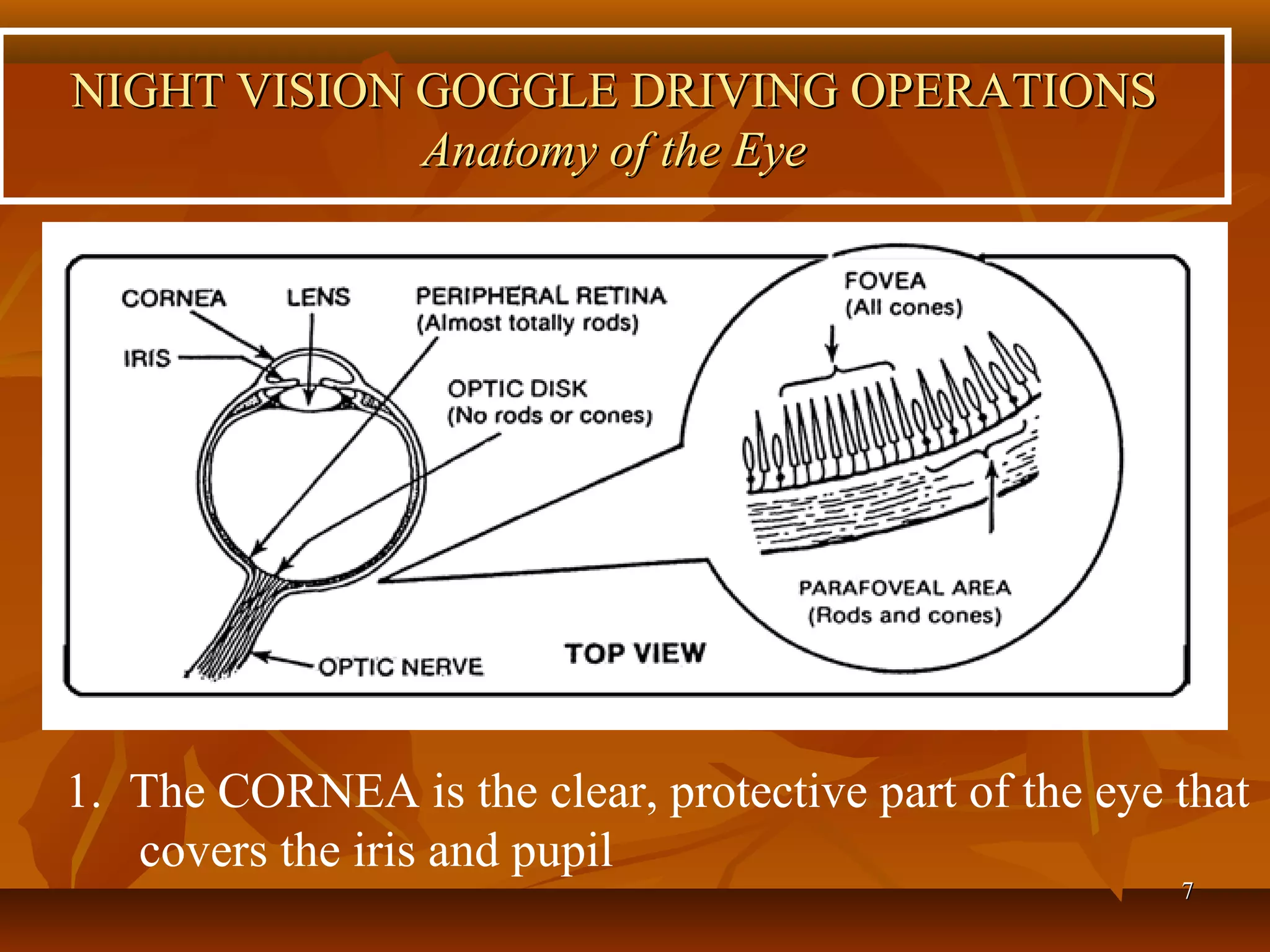 Night vision goggles the basics | PPT
