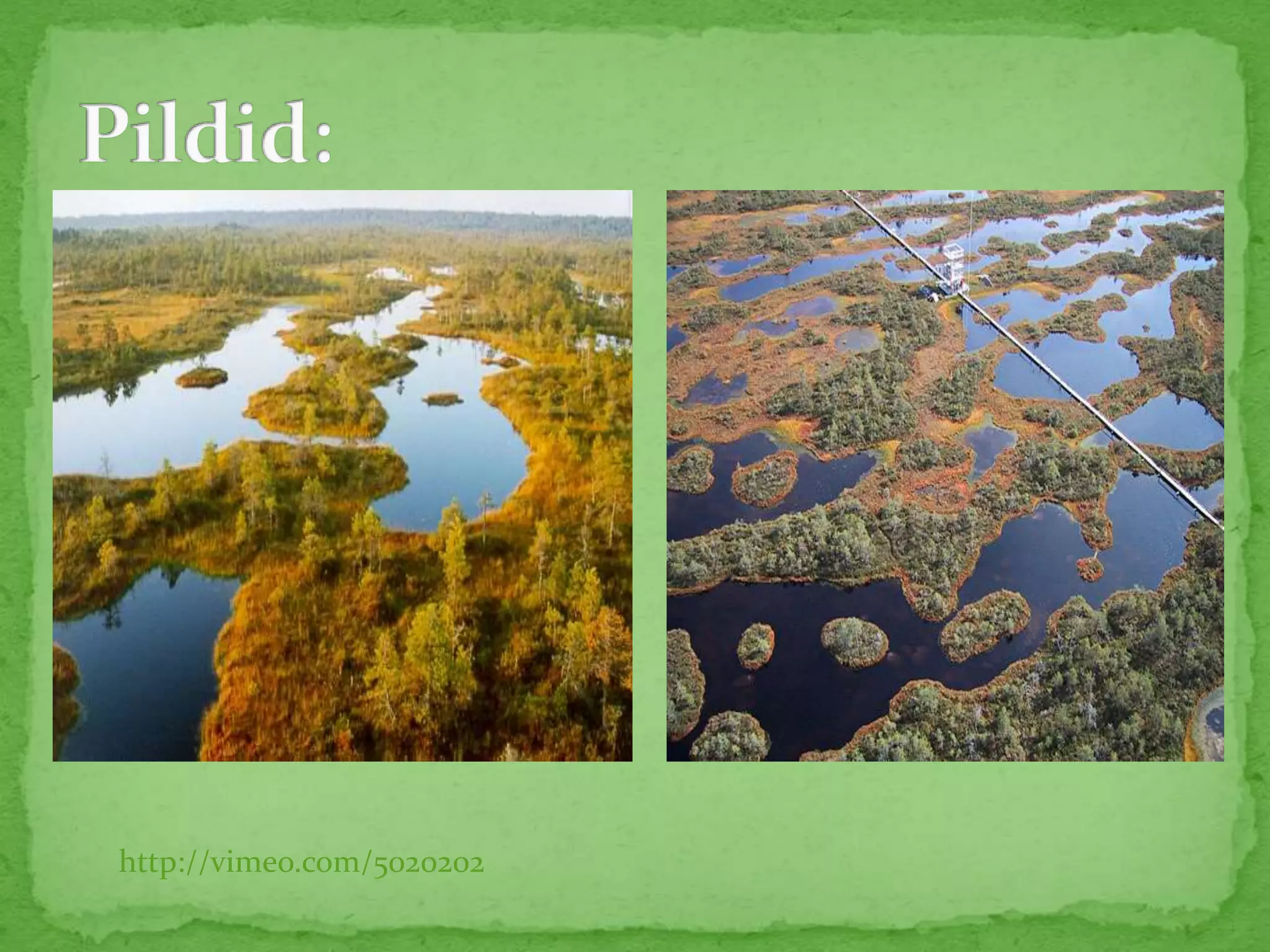 Nigula looduskaitseala | PPT