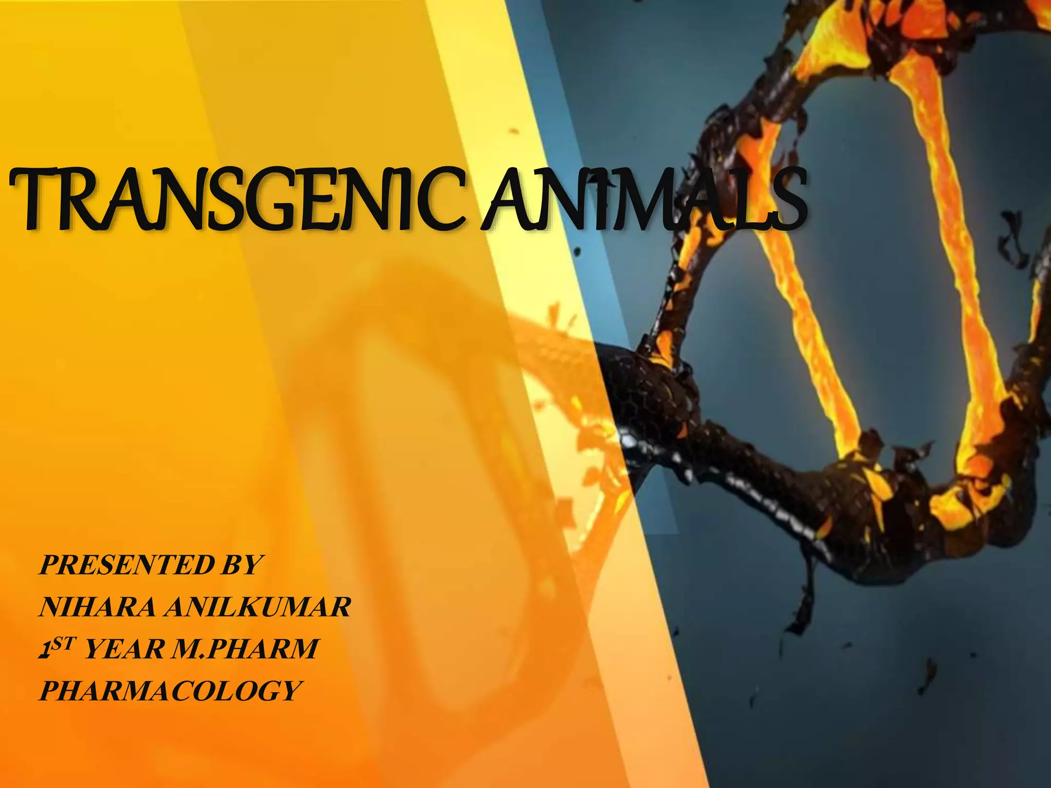 Transgenic animals | PPTX