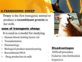 Transgenic animals | PPTX