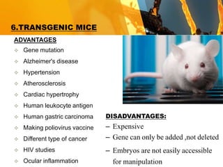 Transgenic animals | PPTX
