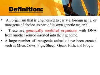 Transgenic animals | PPTX