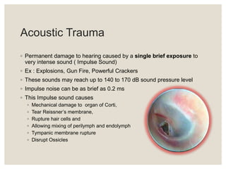 NOISE INDUCED HEARING LOSS ~ Shri.Dr.Ch.Ramanachary Ji, MS ENT | PPTX