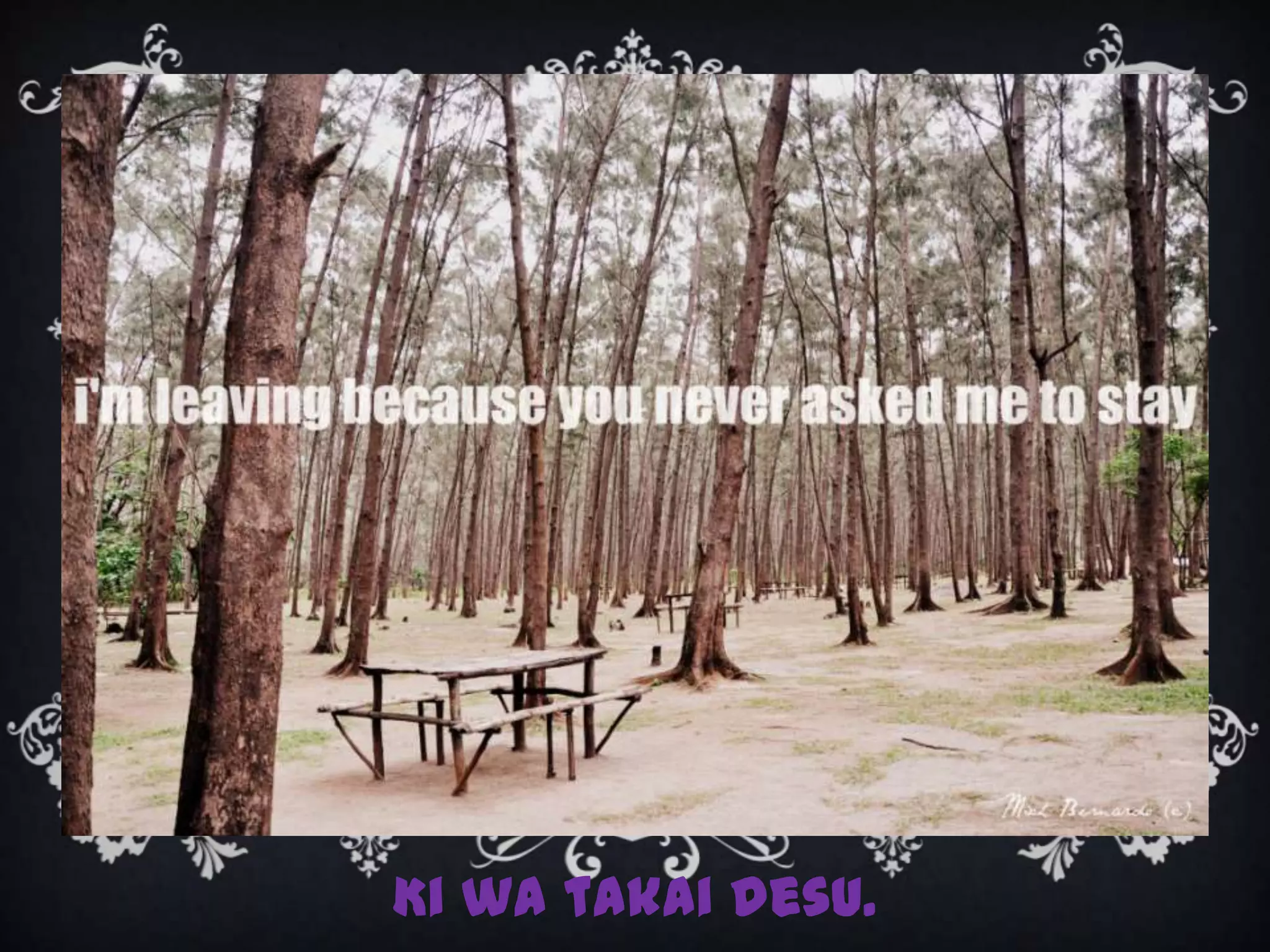 Nihongo Adjectives | PPTX