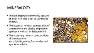 Alkaline rocks.lamprophyre,lamproite,and carbonatites | PPTX