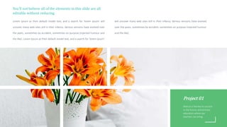 NIIGATA Company presentation beginer.pptx