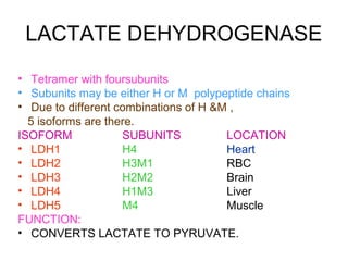 Isoenzymes | PPT