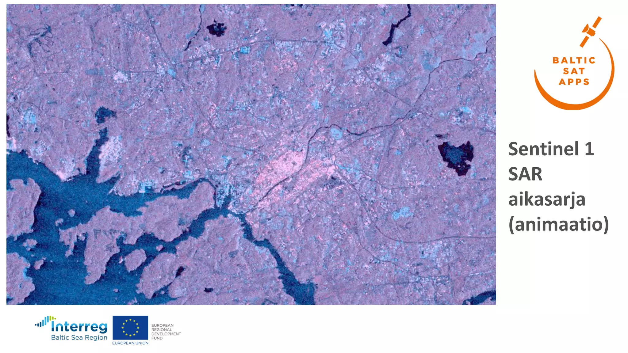 Niina Käyhkö | PDF