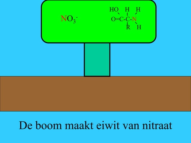 Nijntje en het nitraat | PPTX