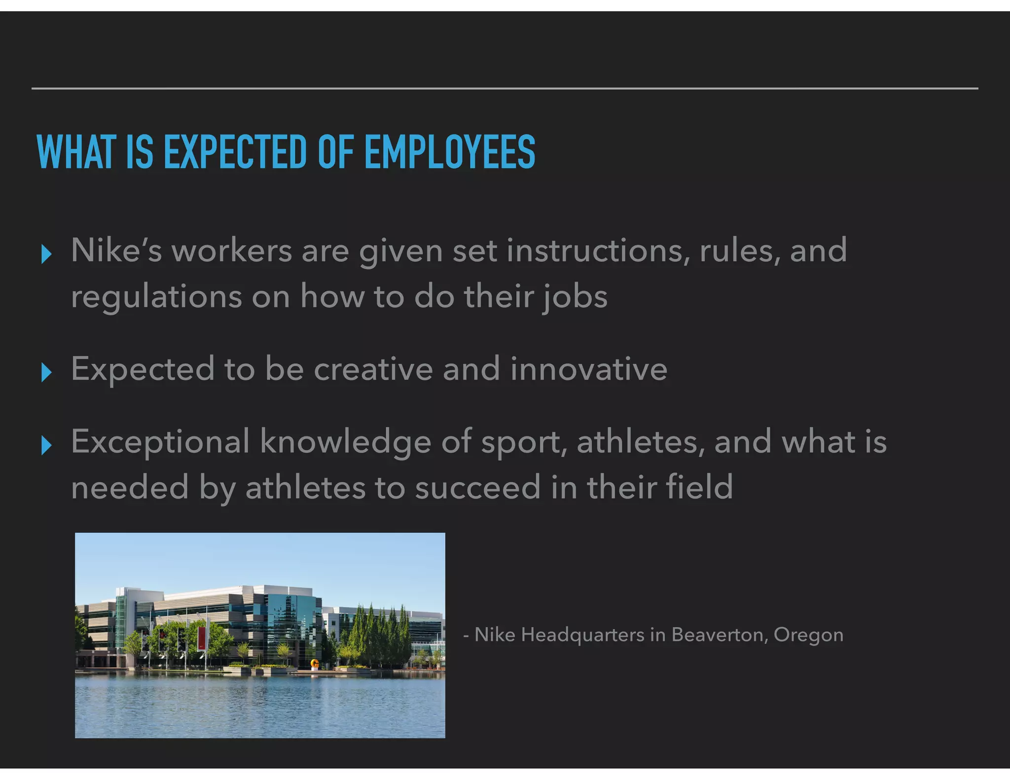Nike's Organizational Culture- Rodisel | PDF