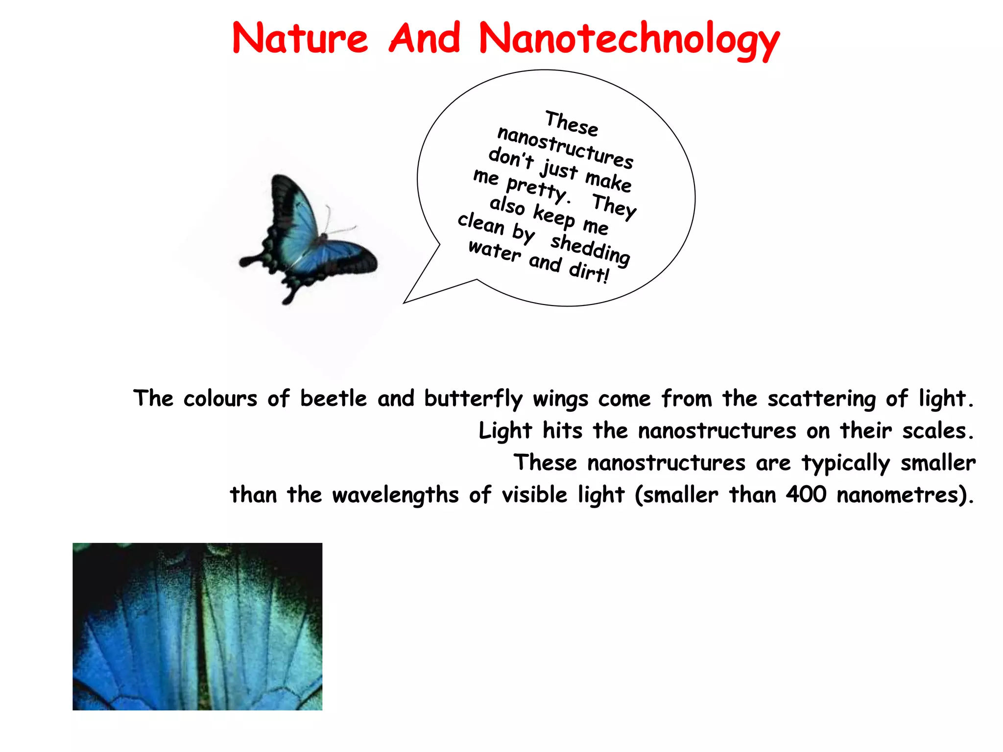 Introduction of Nanotechnology | PPTX