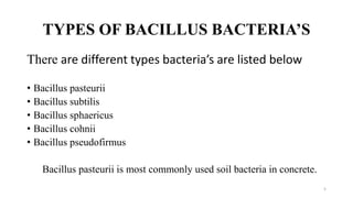 BACTERIAL BASED SELF HEALING CONCRETE | PPTX | Chemistry | Science