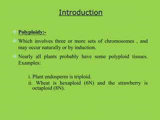 polyploid Breeding | PPTX | Genetics | Science