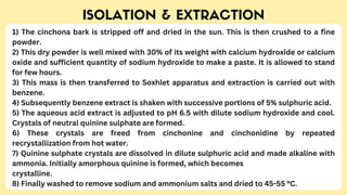 Cinchona by Nikhil, Bachelor of pharmacy 3rd Year | PDF