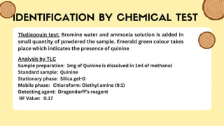 Cinchona by Nikhil, Bachelor of pharmacy 3rd Year | PDF