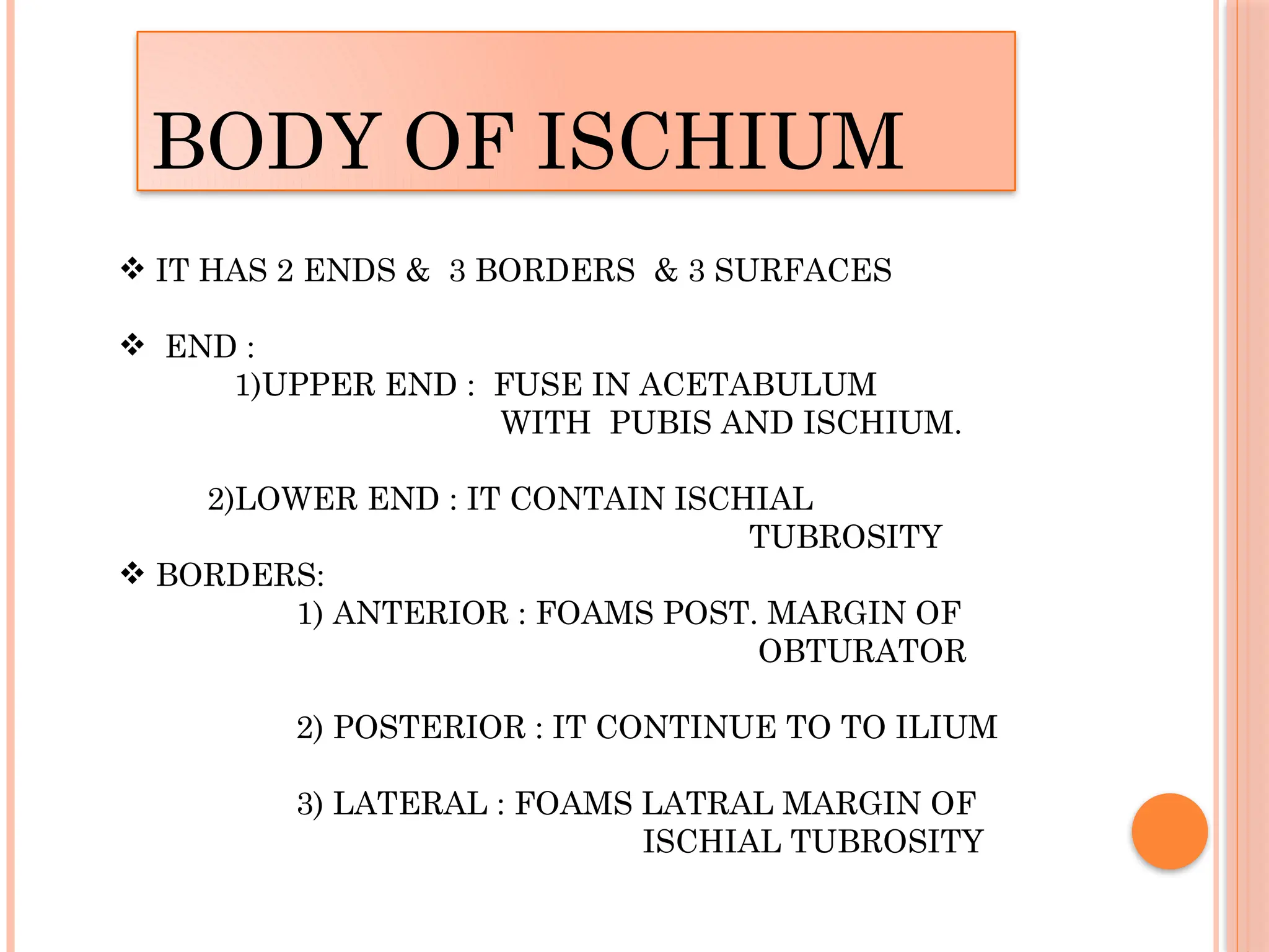 Hip bone ppt anatomy Mbbs Bams osteology | PDF