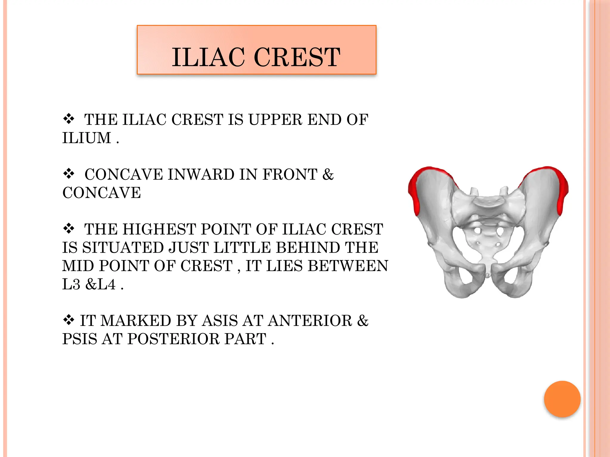 Hip bone ppt anatomy Mbbs Bams osteology | PDF
