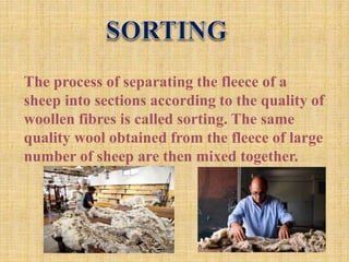 NIKHIL KUMAR FABRIC FROM FIBRE PPT.pptx