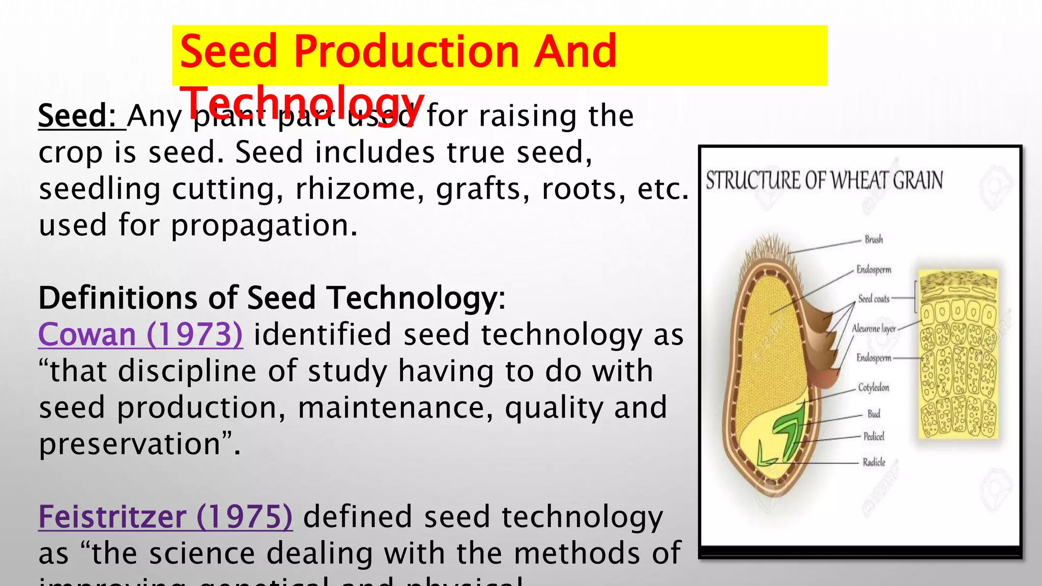 Seed production Technology | PPTX