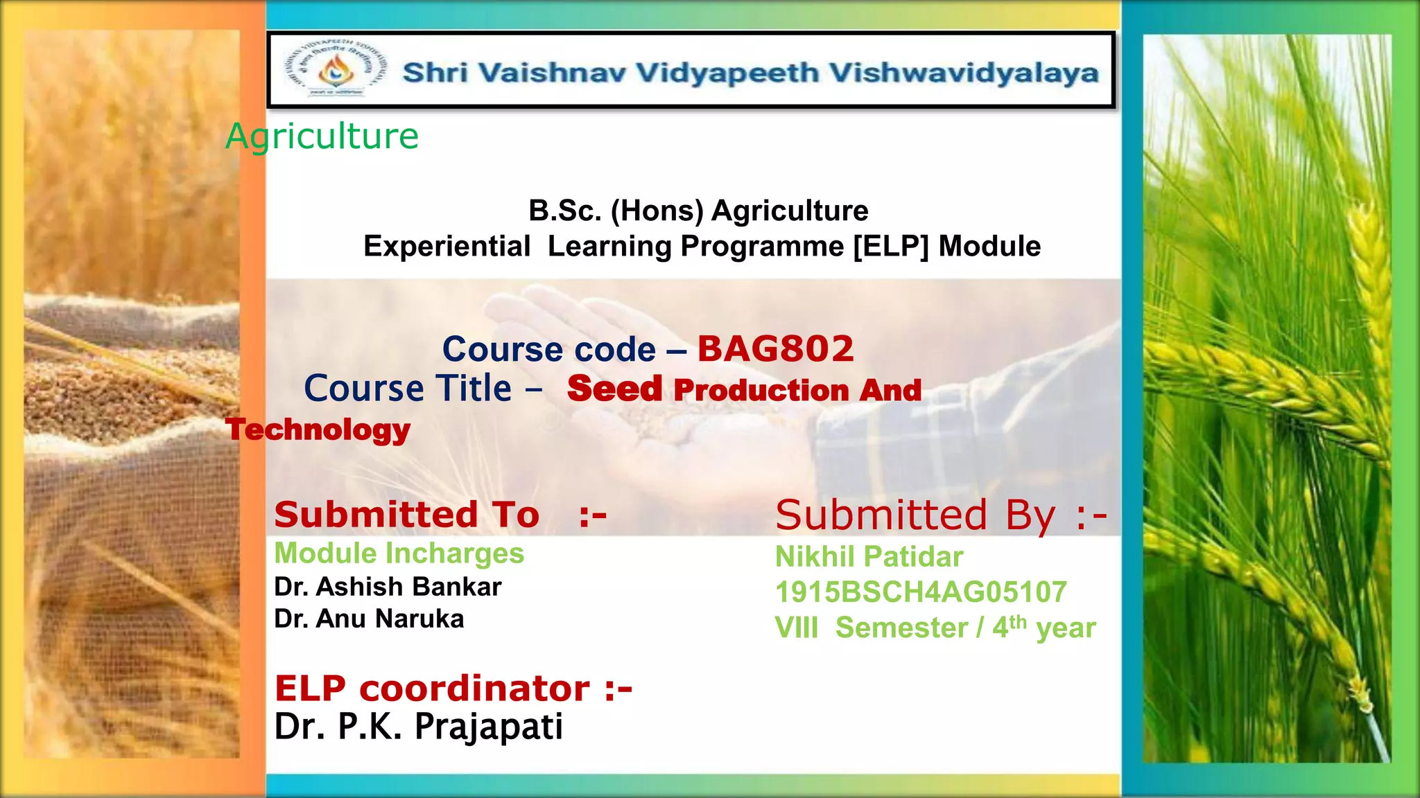 Seed production Technology | PPTX