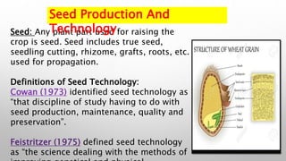 Seed production Technology | PPTX