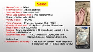 Seed production Technology | PPTX