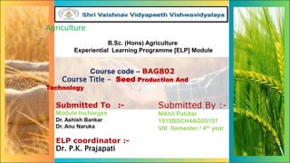 Seed production Technology | PPTX