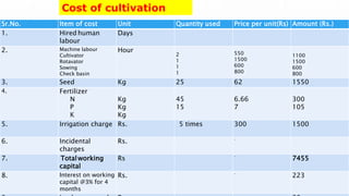 Seed production Technology | PPTX