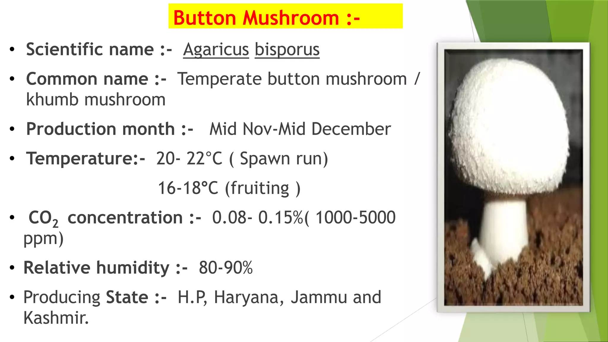 Mushroom Cultivation and Spawn Production technology | PPTX