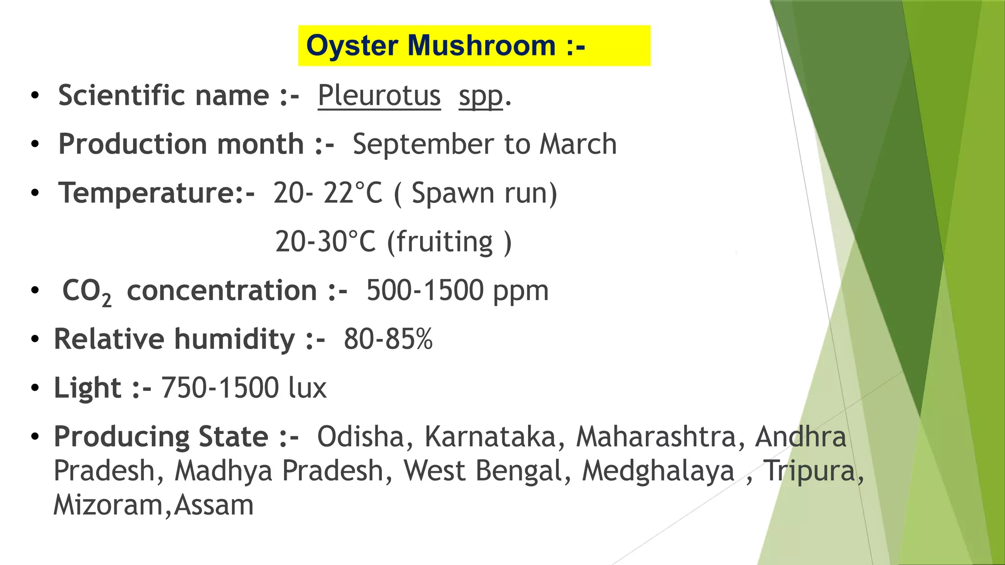 Mushroom Cultivation and Spawn Production technology | PPTX