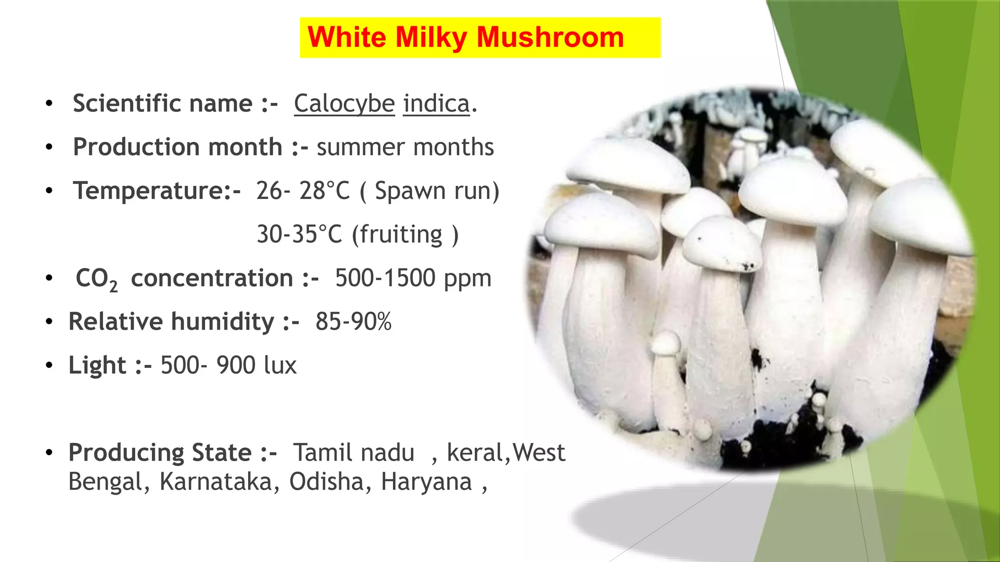 Mushroom Cultivation and Spawn Production technology | PPTX