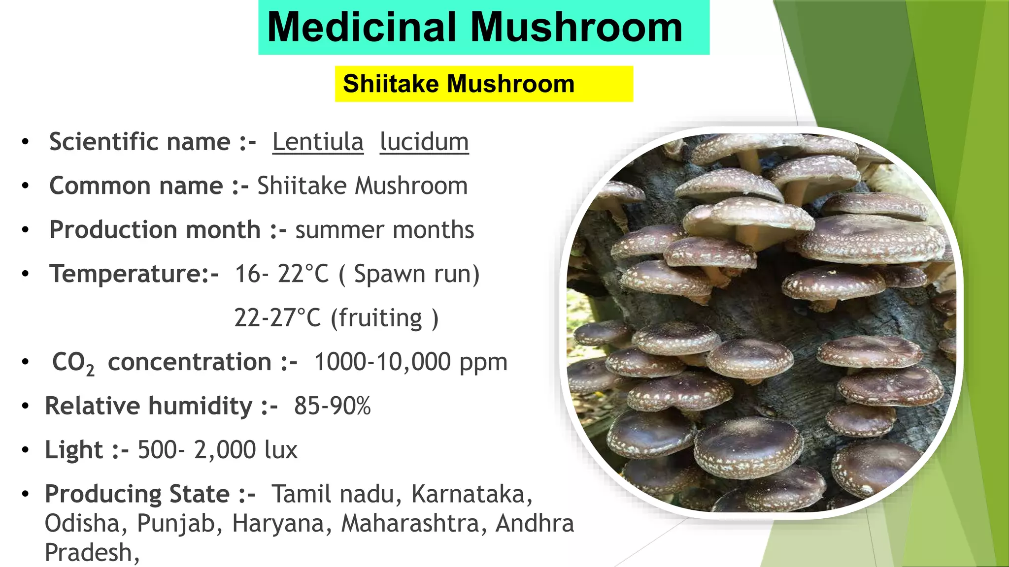 Mushroom Cultivation and Spawn Production technology | PPTX