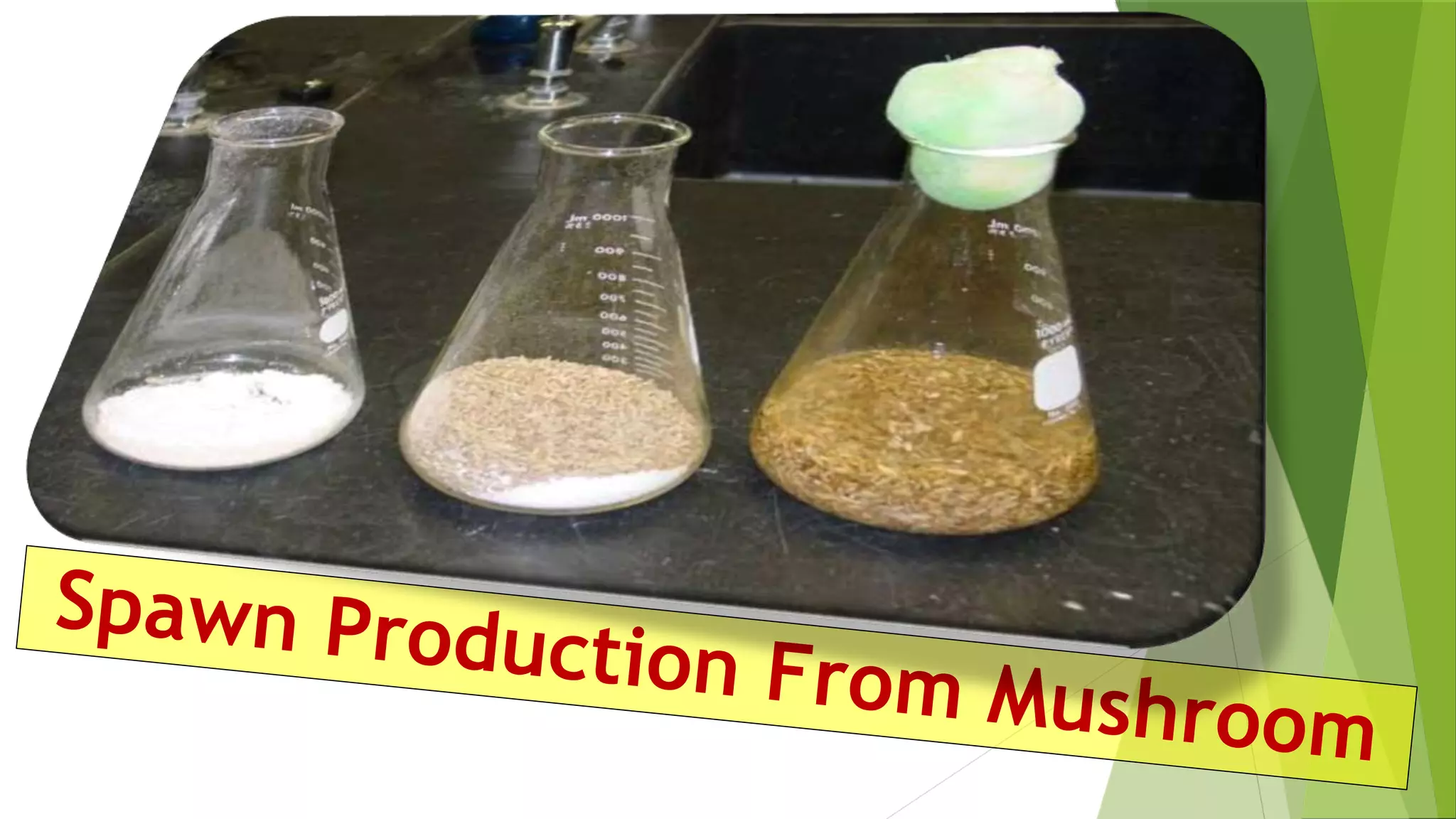 Mushroom Cultivation and Spawn Production technology | PPTX | Heart and Cardiovascular Diseases ...