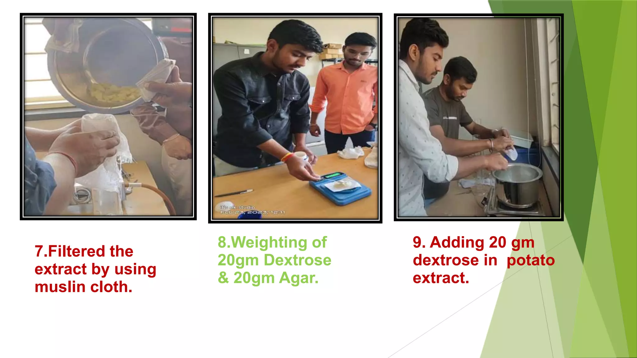 Mushroom Cultivation and Spawn Production technology | PPTX